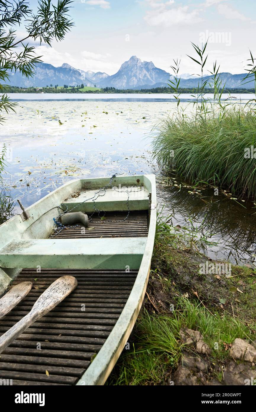 Boat at lakeshore of lake Hopfensee, Fuessen, Allgaeu, Bavaria, Germany ...