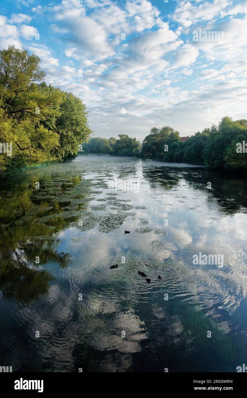 Saale riverbank hi-res stock photography and images - Alamy