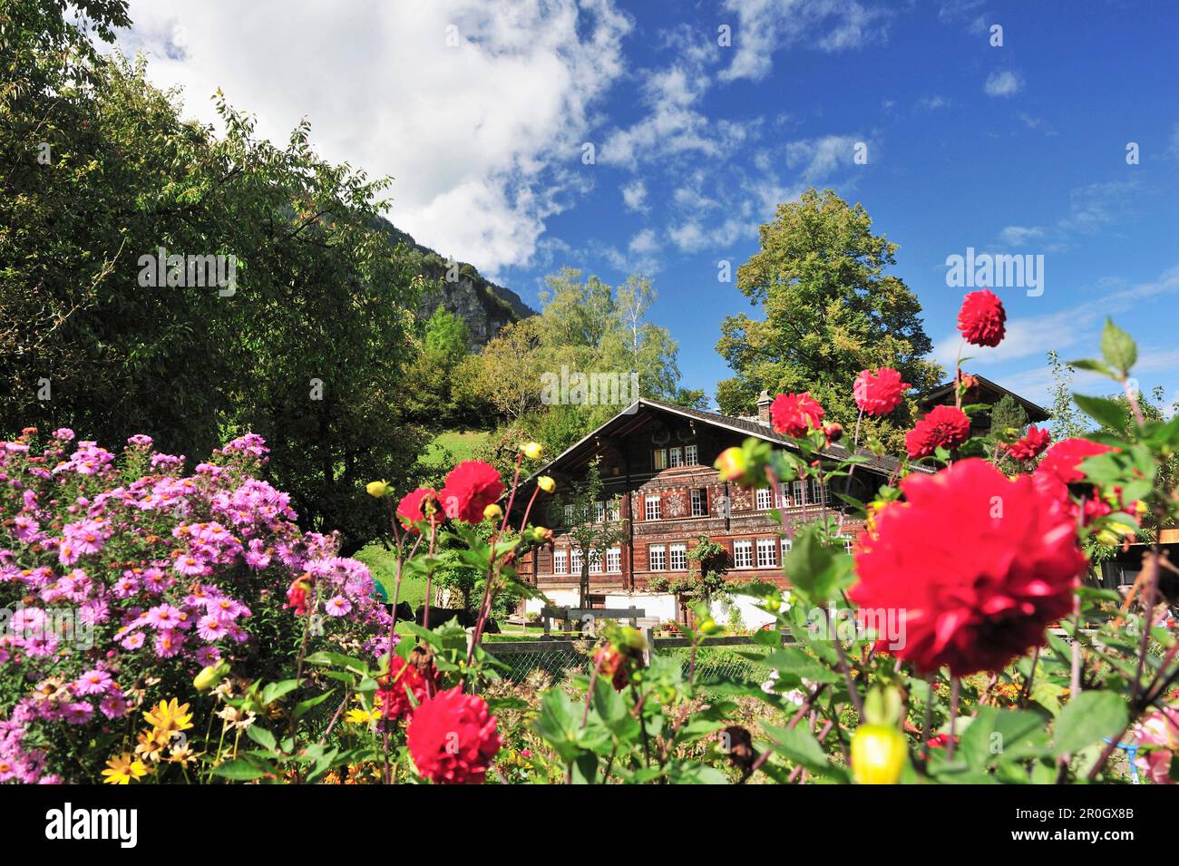 Farmhouse with garden, Meiringen, Bernese Oberland, canton of Bern ...