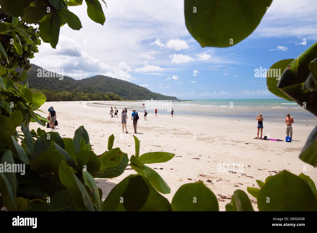 Cape tribulation queensland australia pacific hi-res stock photography ...