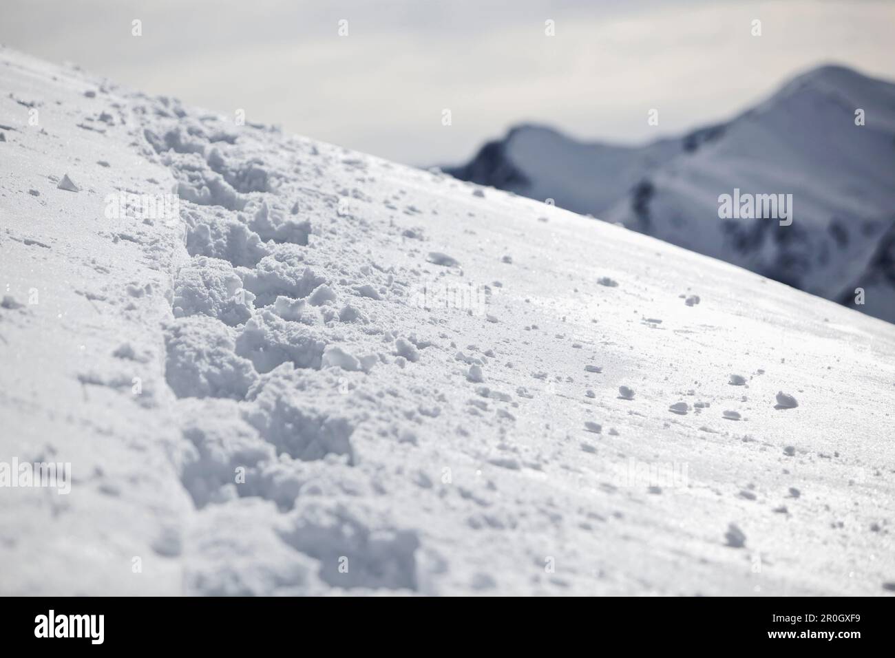 Tracks in the deep powder snow, See, Tyrol, Austria Stock Photo - Alamy