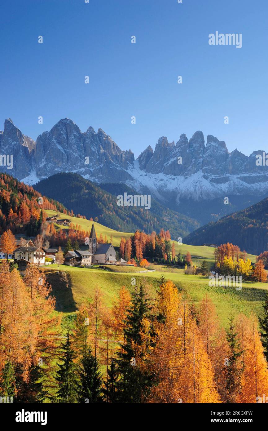 St Magdalena in front of Geisler range in autumn, St Magdalena, valley ...