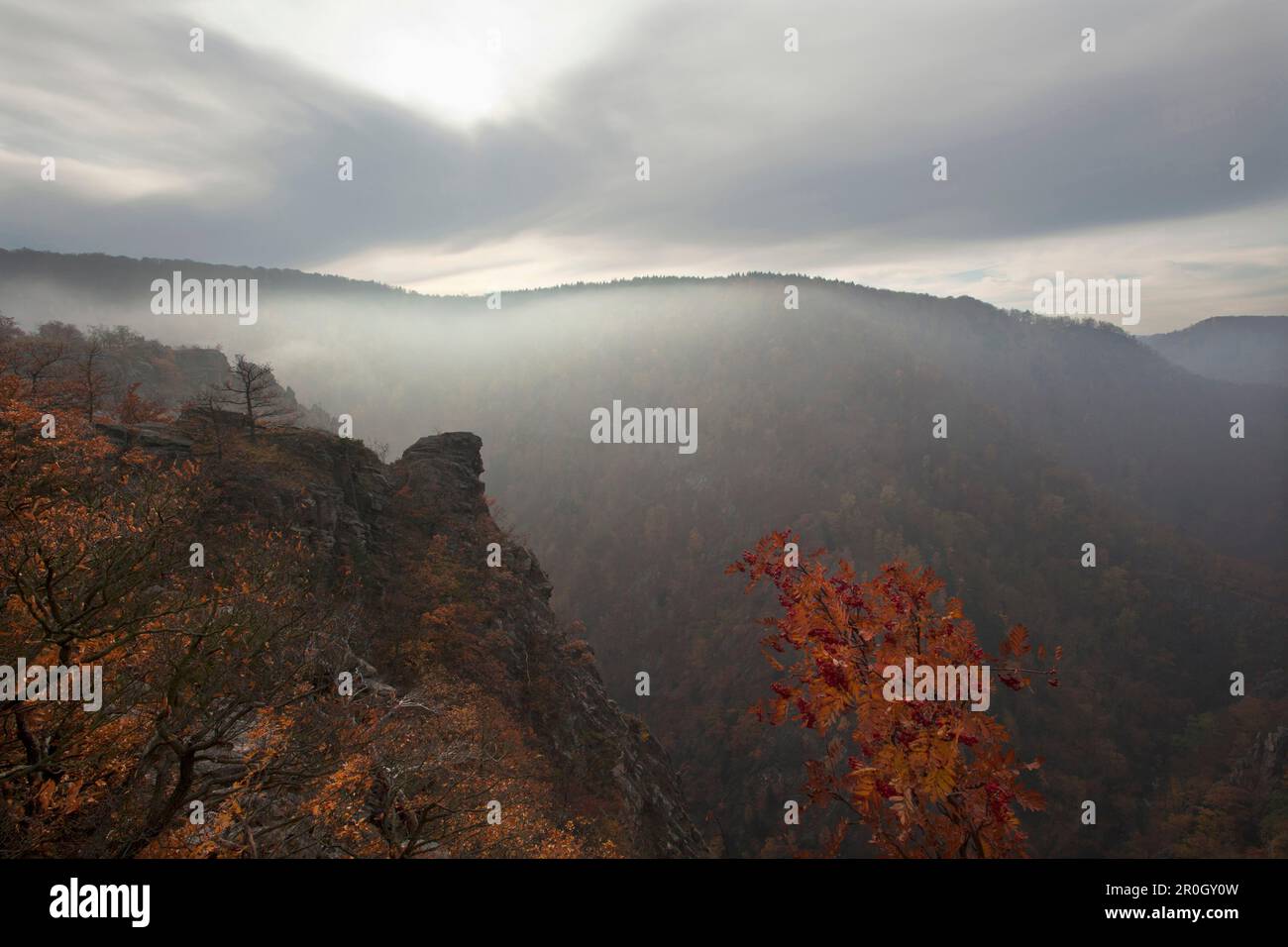 View from Rosstrappe rock over the Bode valley, near Thale, Harz ...