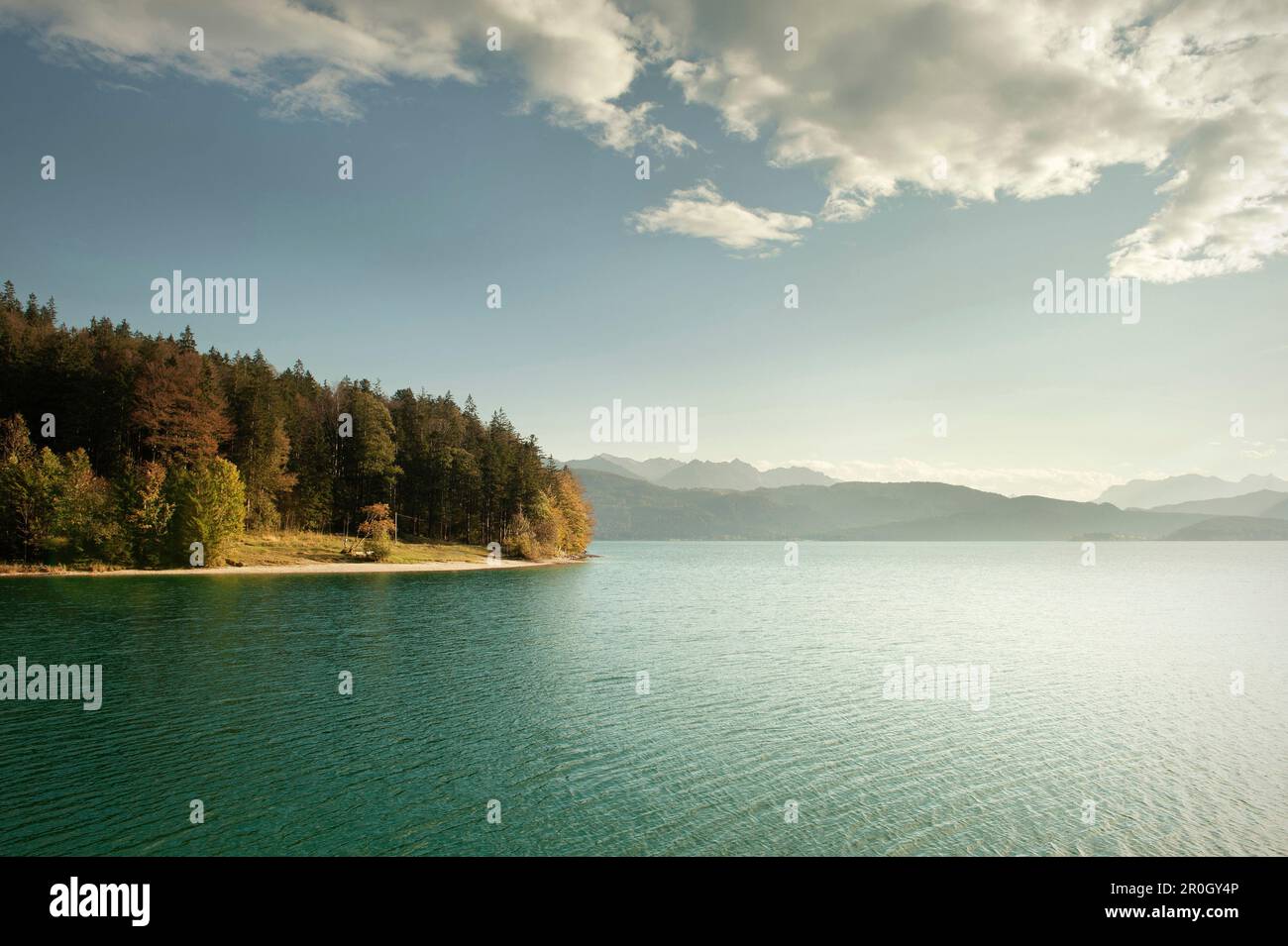 Shore at Lake Walchensee with view of the Karwendel, Kochel am See, Bad Toelz, Bavaria, Germany ...