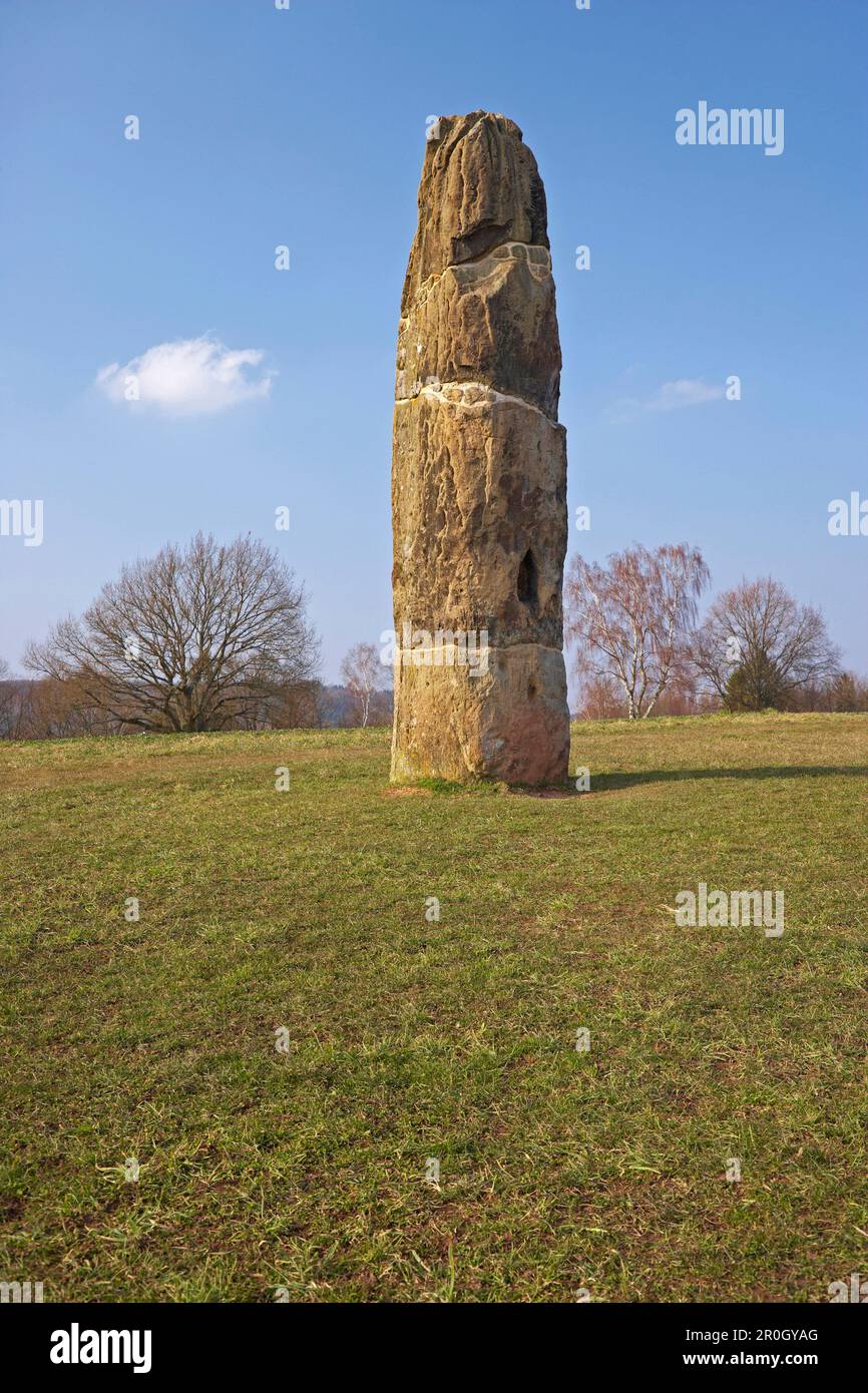 Monolith Gollenstein in a meadow, landmark of the town of Blieskastel ...