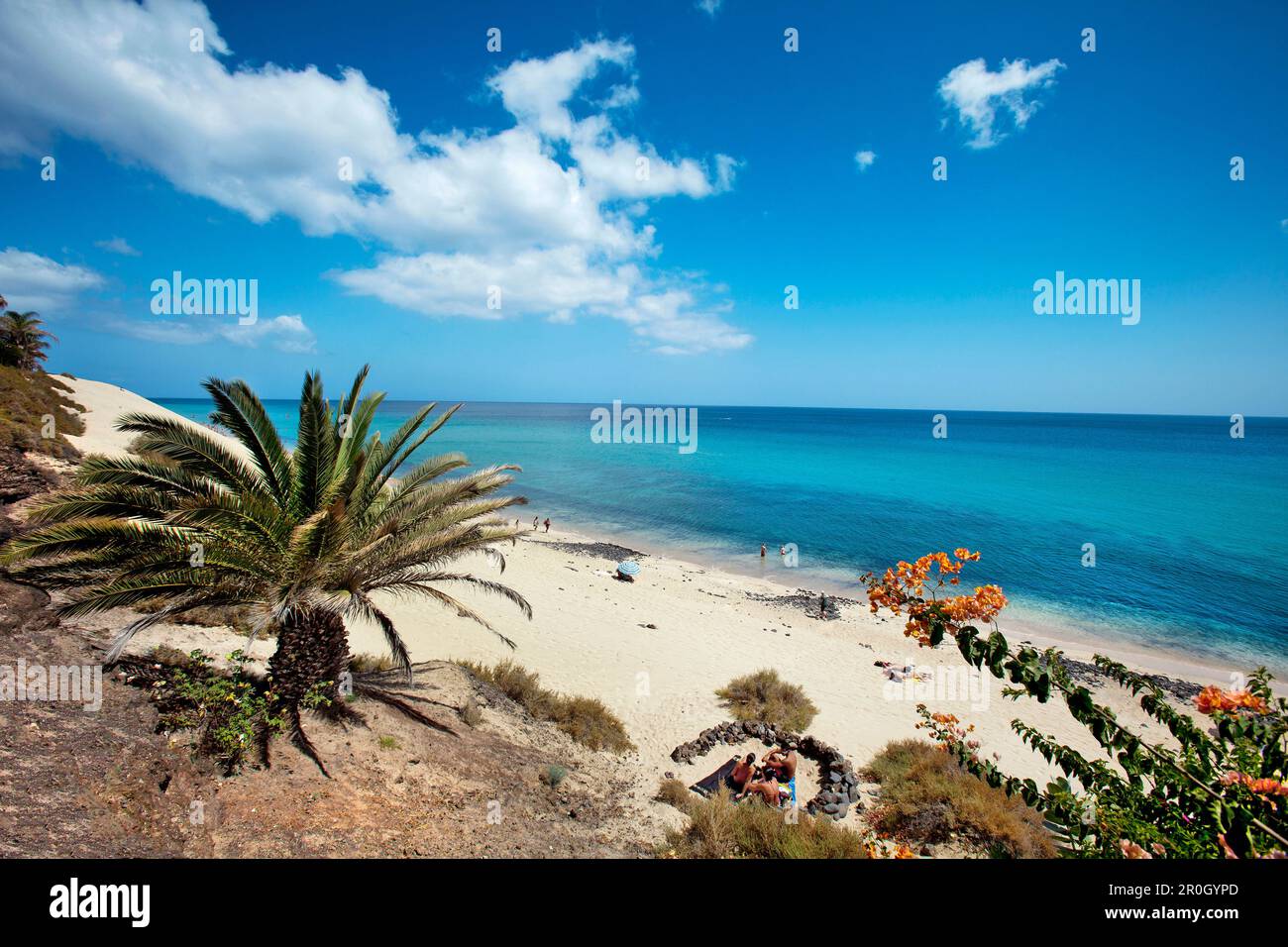 Seaside promenade with palm trees, Playa del Matorral, Morro Jable ...