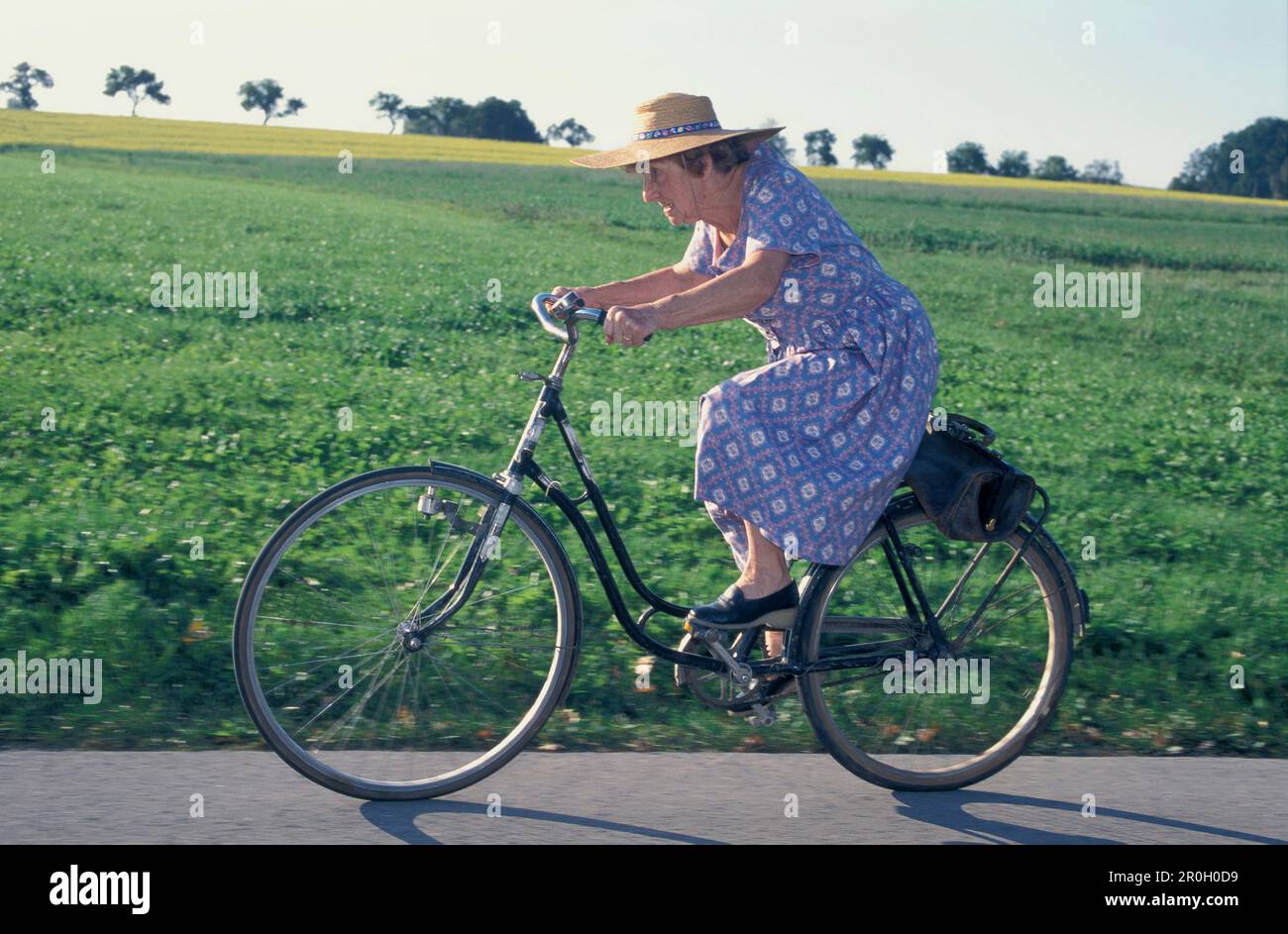 Elderly woman riding a bicycle, Upper Bavaria, Germany Stock Photo - Alamy