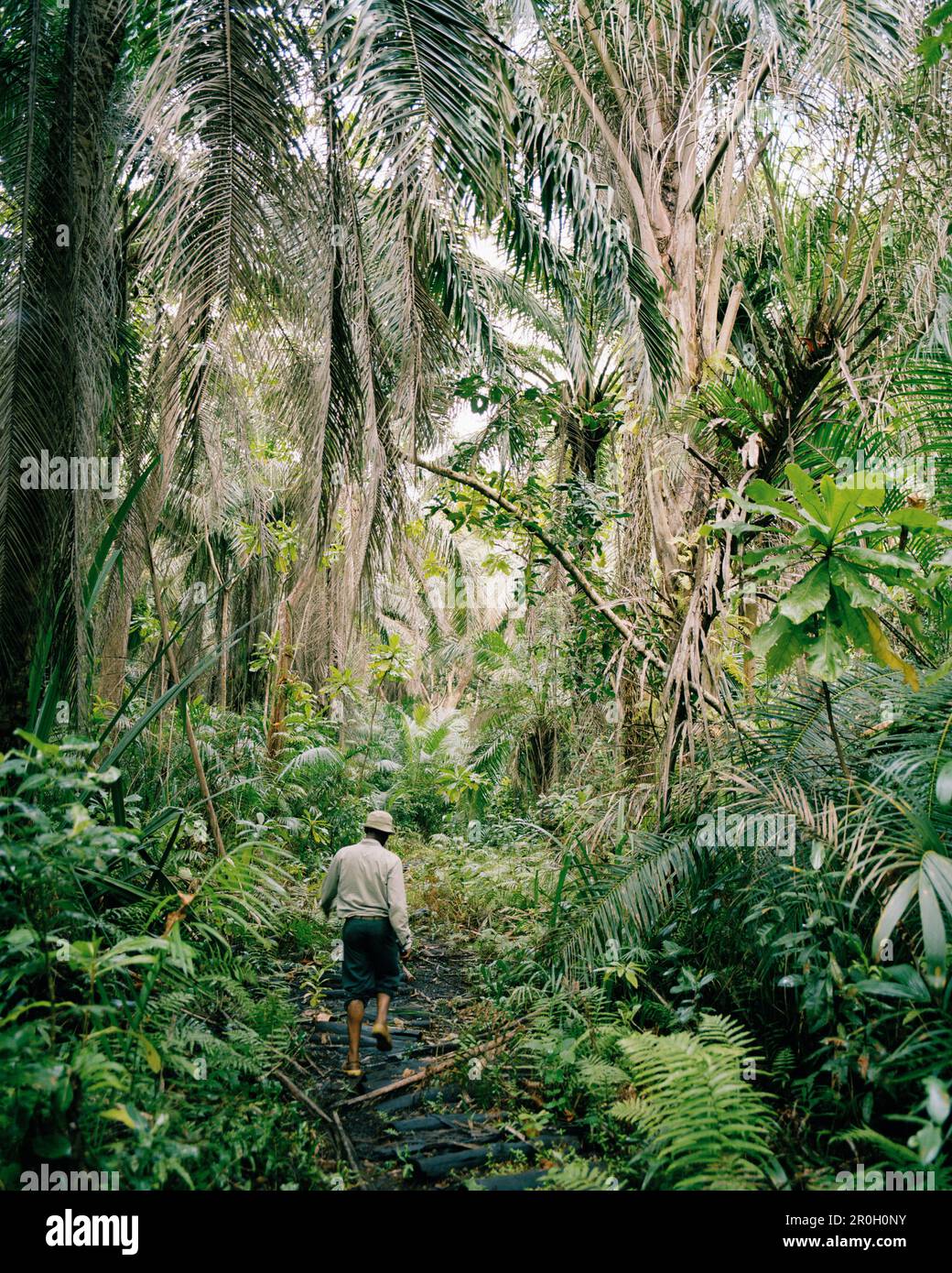 Ranger on guided tour along trail, Jozani Chwaka Bay National Park ...