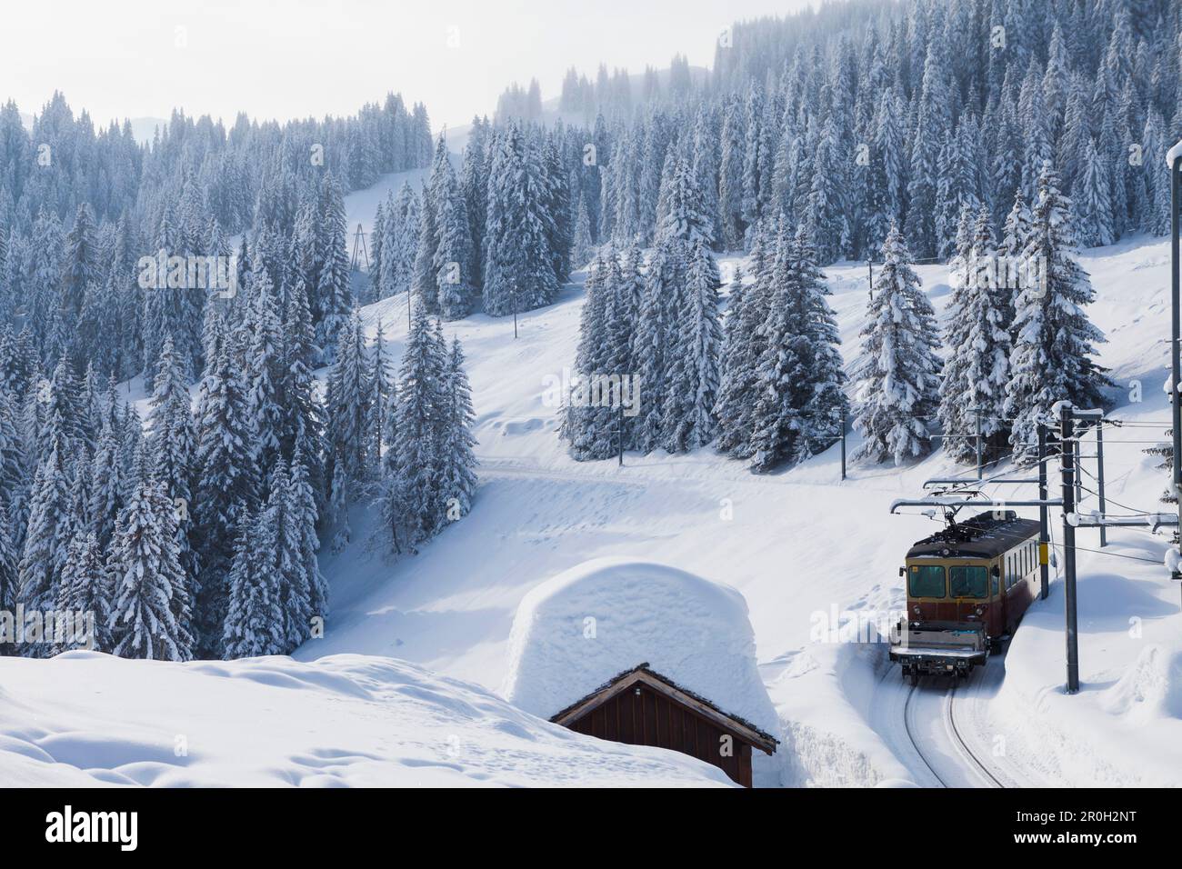 Deep Winter along the railway track Winteregg, Muerren ...