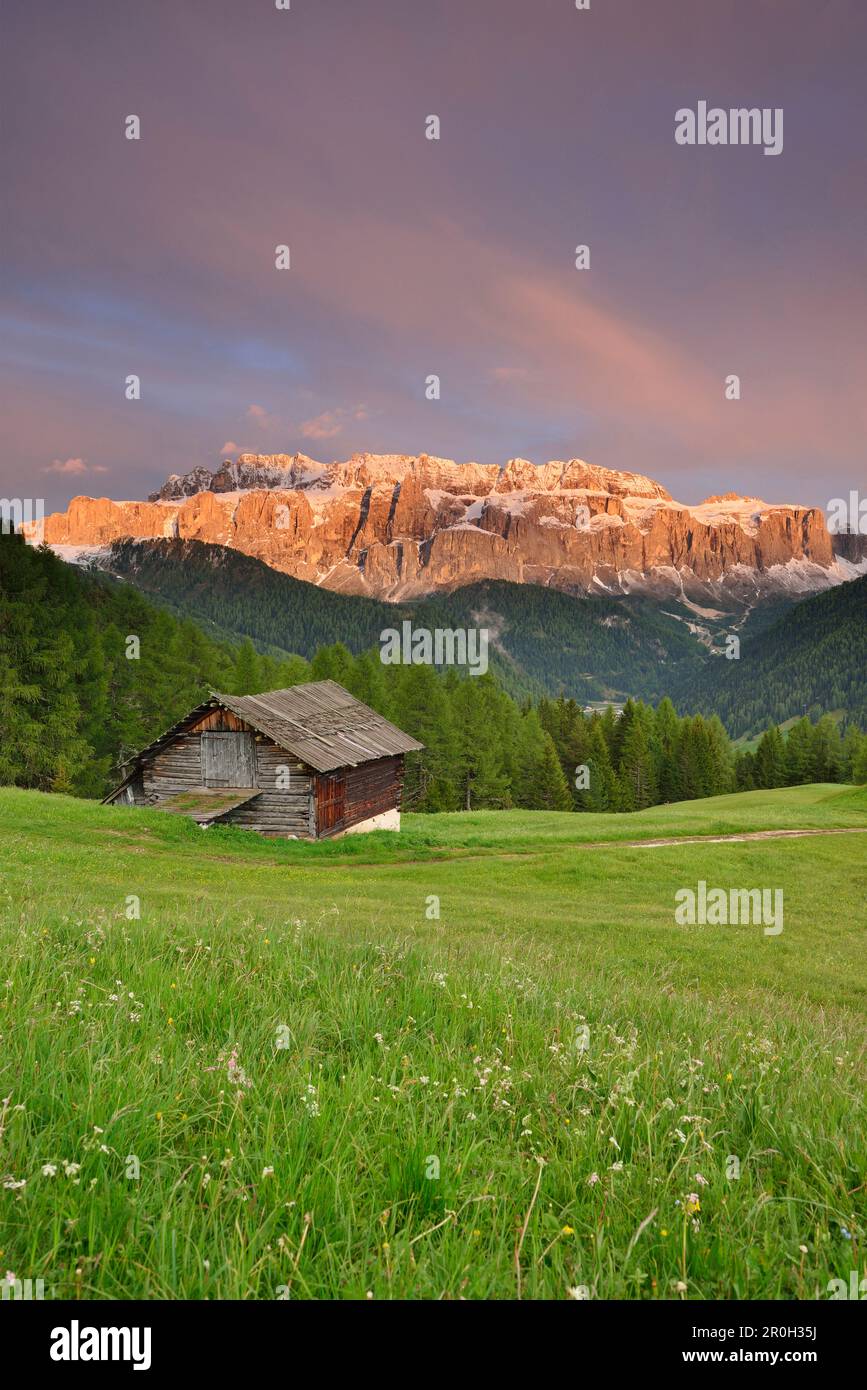 Hay barn in front of the Sella range with alpenglow, Val Gardena ...