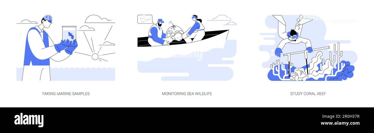 Marine biologist abstract concept vector illustrations Stock Vector ...