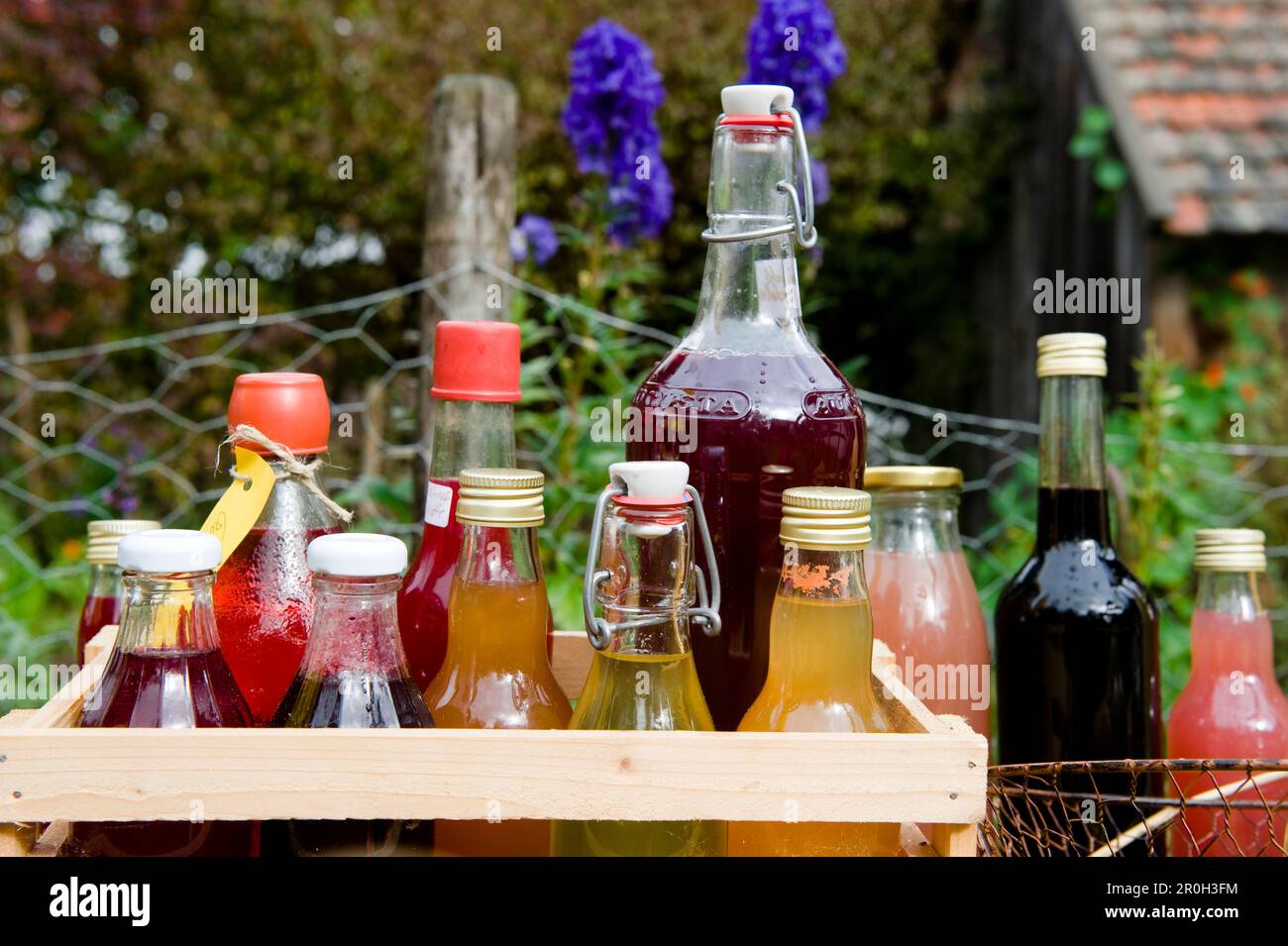 Bottles of juice, sirup and liqueurs, homemade, Garden Stock Photo - Alamy