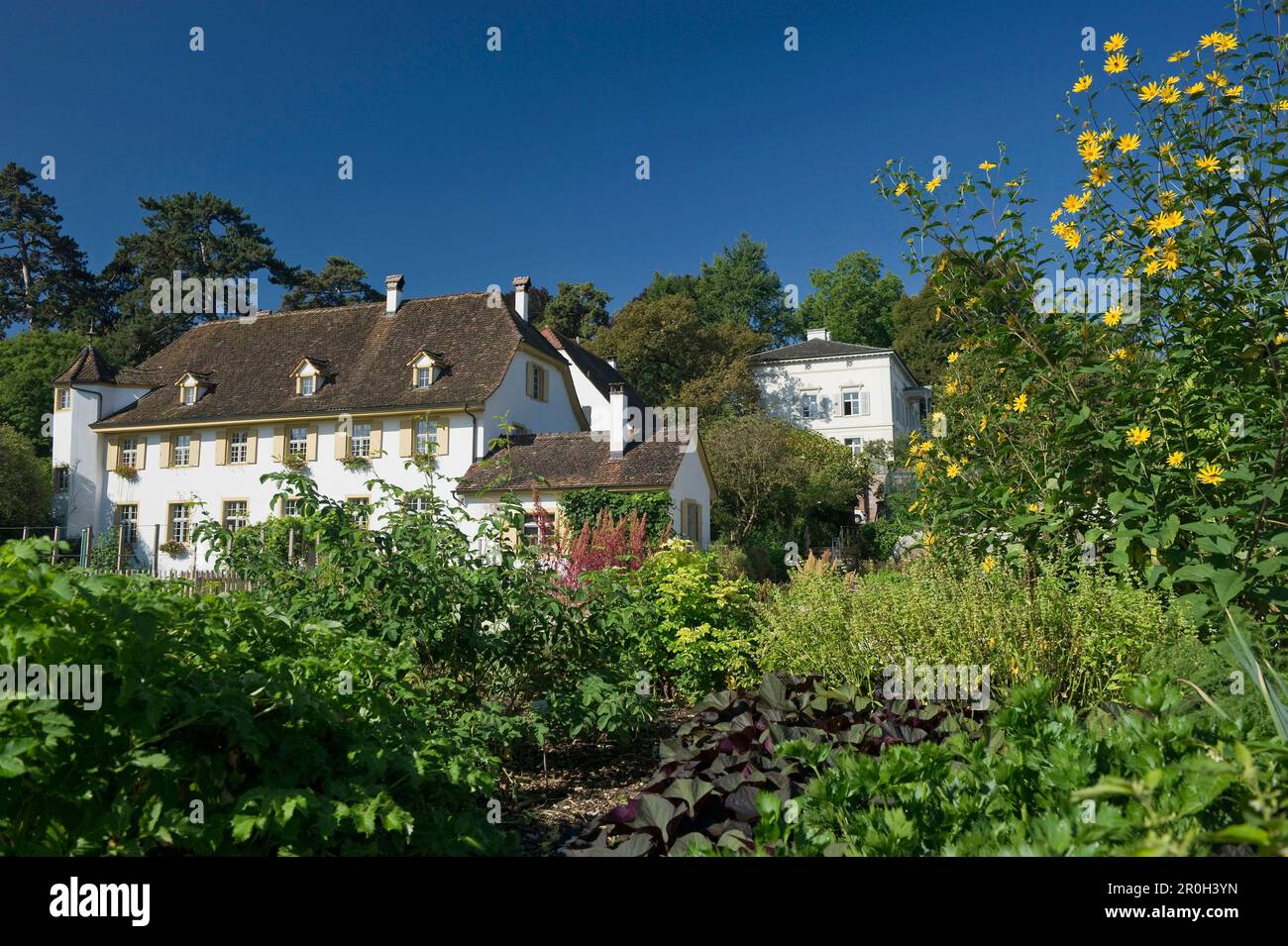 Houses at Merian Park, Brueglingen, Basel, Switzerland, Europe Stock ...