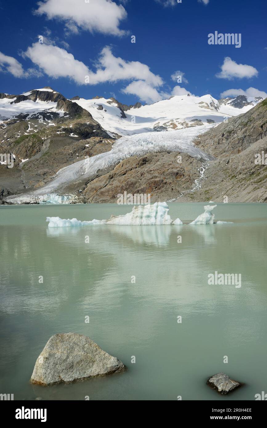Floating ice in lake Gaulisee with Gauli glacier in the background ...