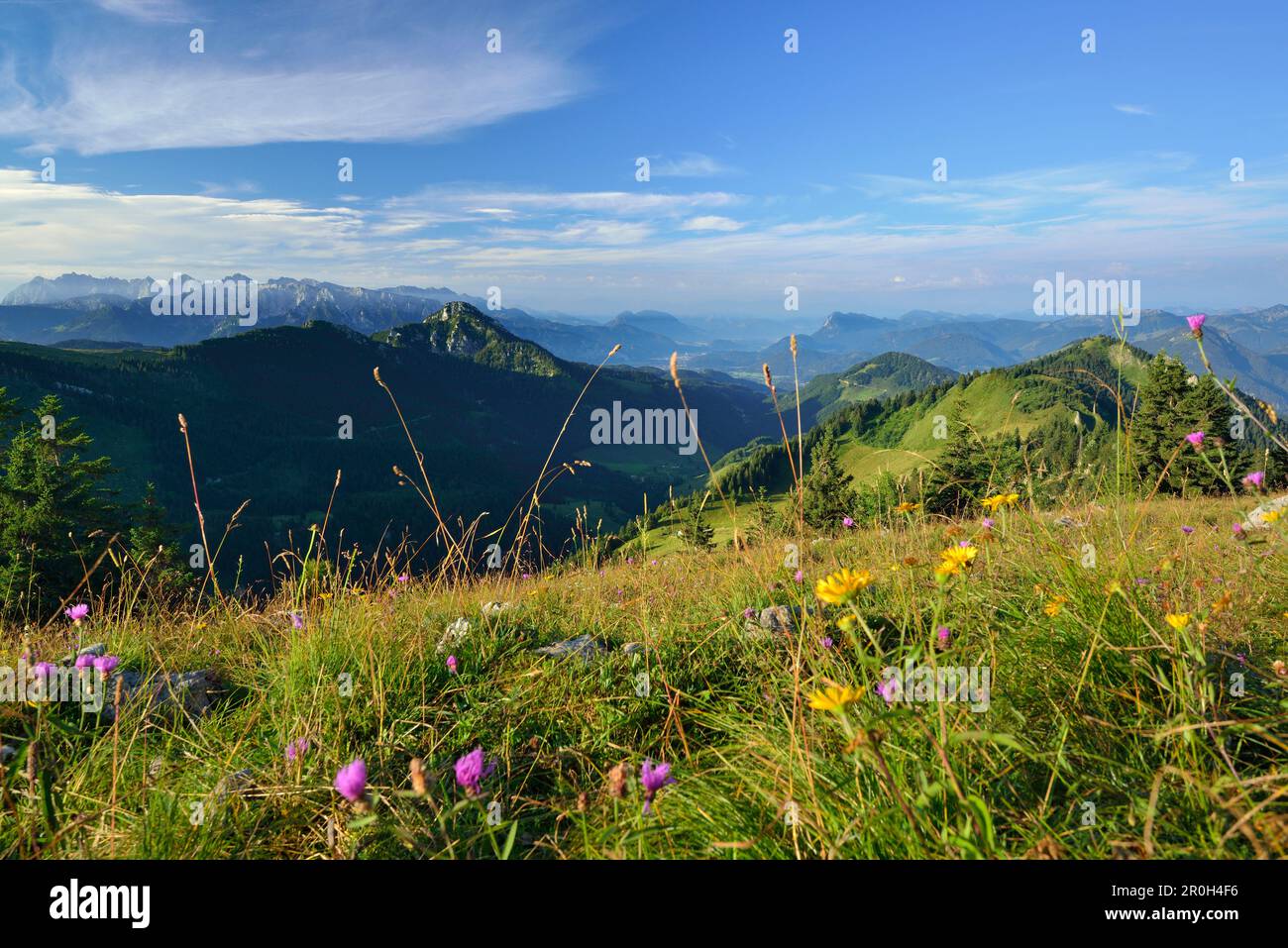 Alpine meadow with Spitzstein, Kaiser range and valley of Inntal in the ...