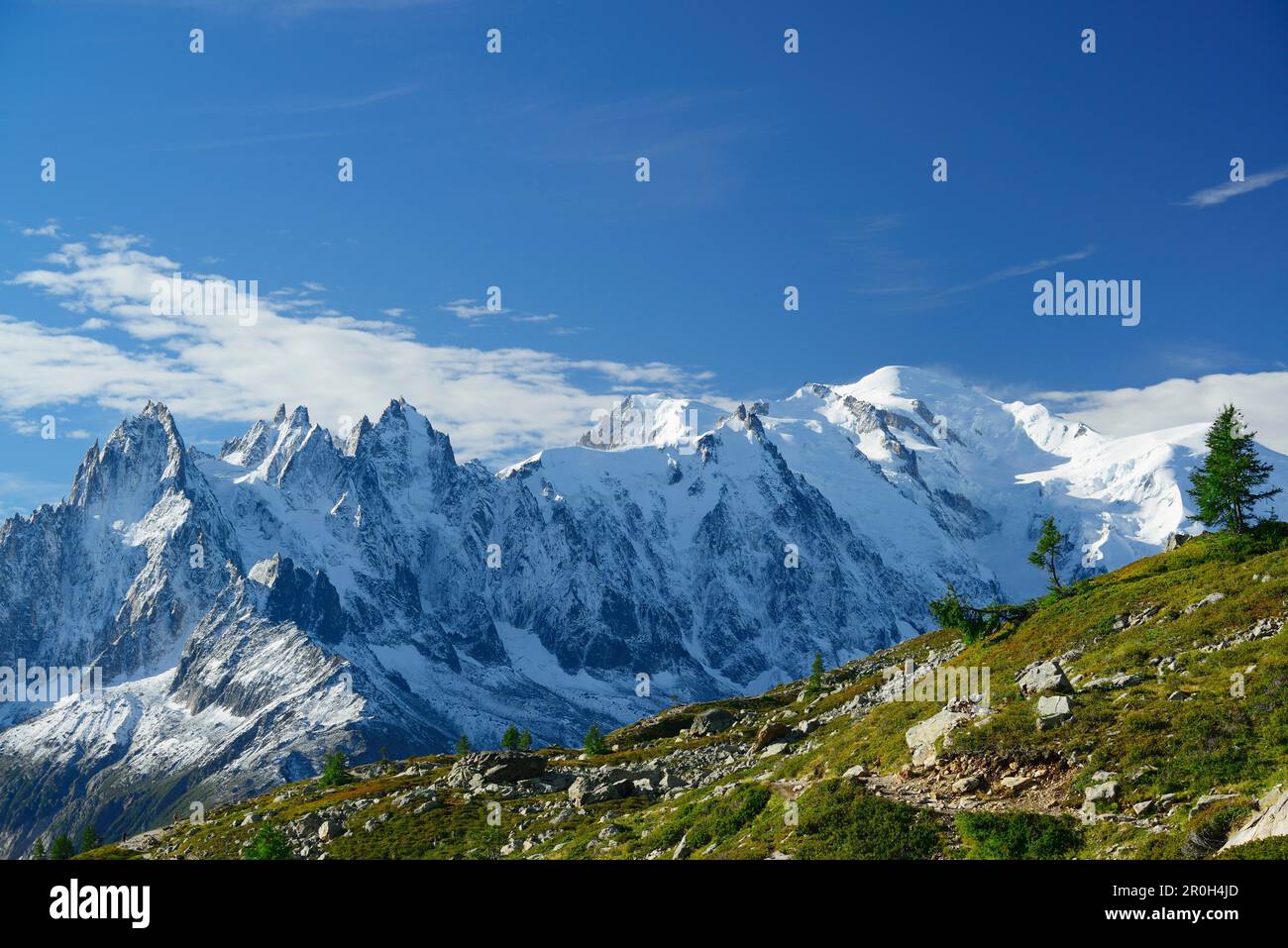 View to Aiguilles du Chamonix, Mont Blanc du Tacul, Aiguille du Midi, Mont Maudit and Mont Blanc ...