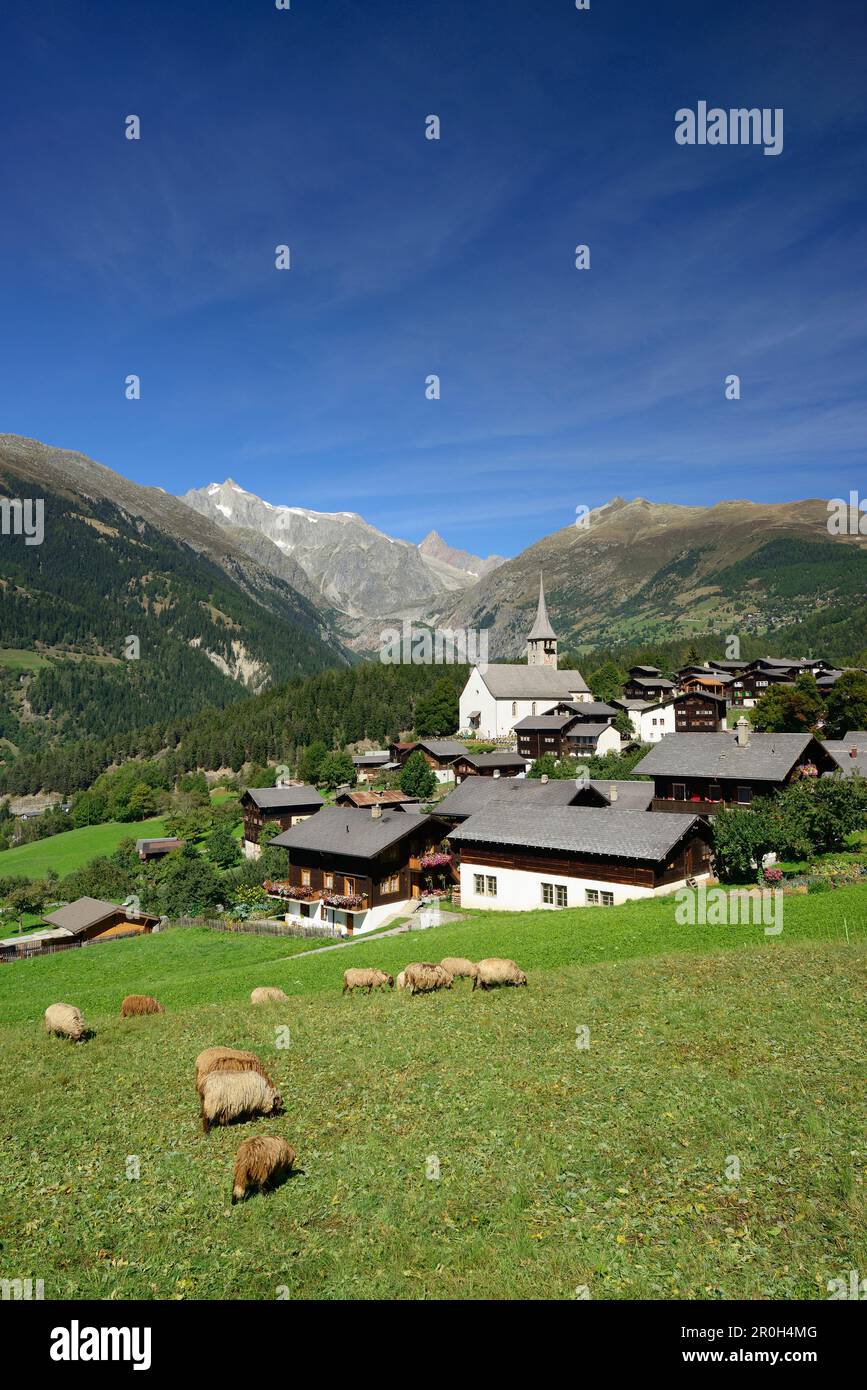 Ernen hi-res stock photography and images - Alamy