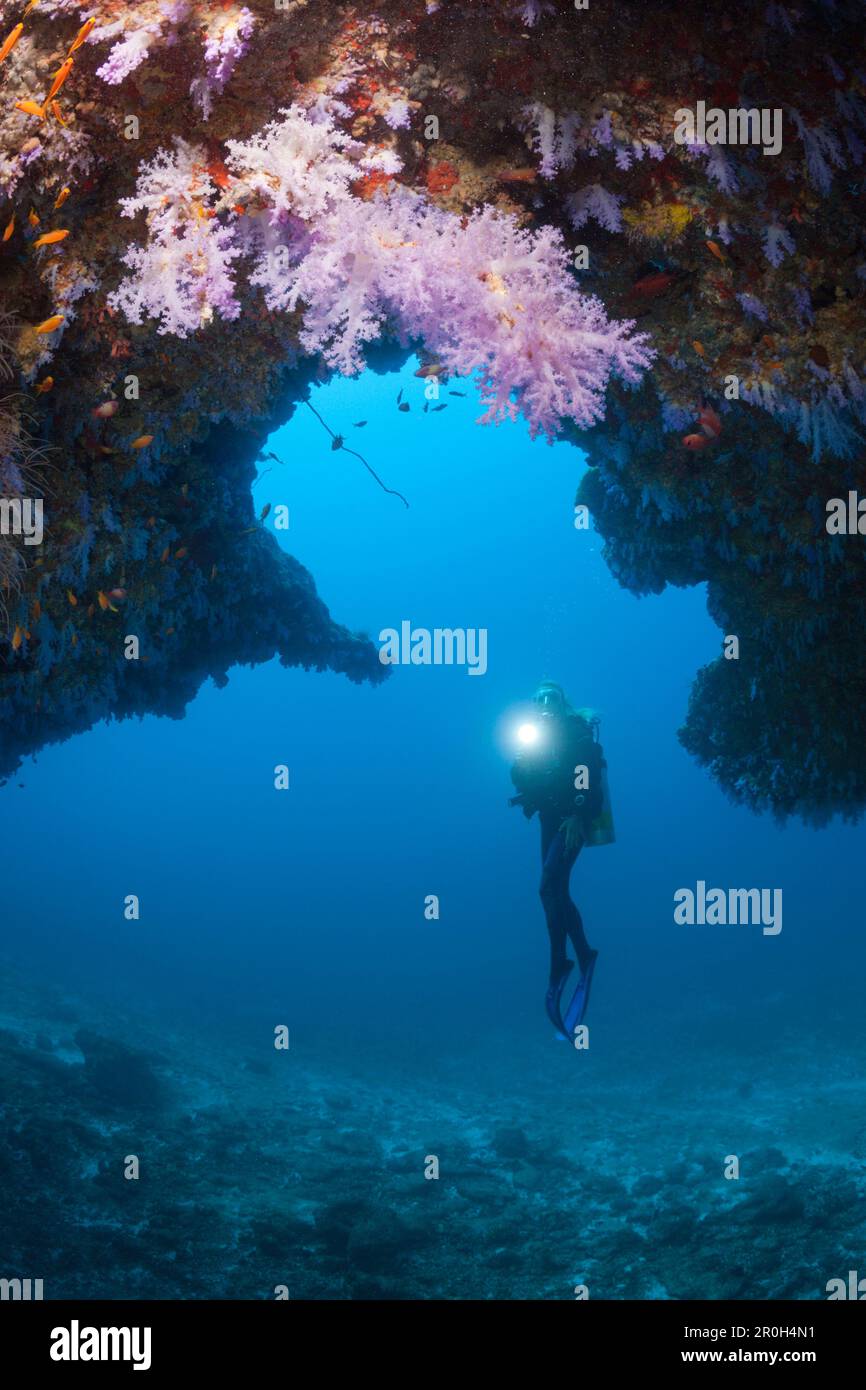 Scuba Diver Explores Cave North Male Atoll Maldives Stock Photo Alamy