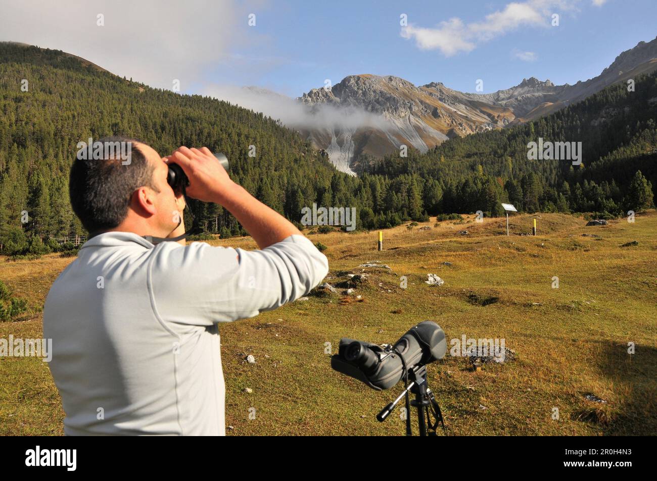 Ranger with binoculars at the Swiss National Park at Ofenpass, Zernez ...
