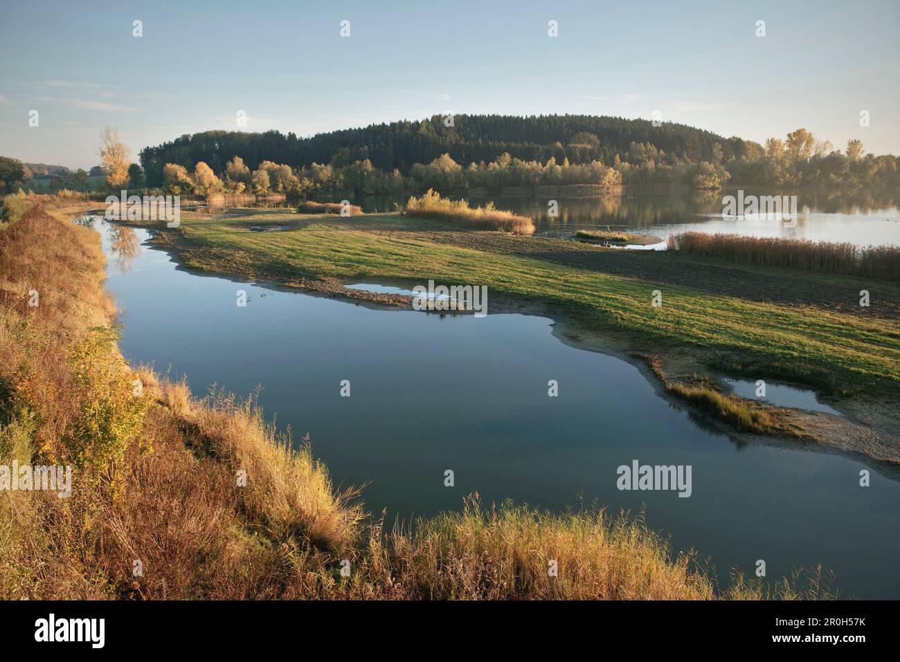 Nature reserve Plessenteich around Neu-Ulm, lake and blue sky, Schwaben ...
