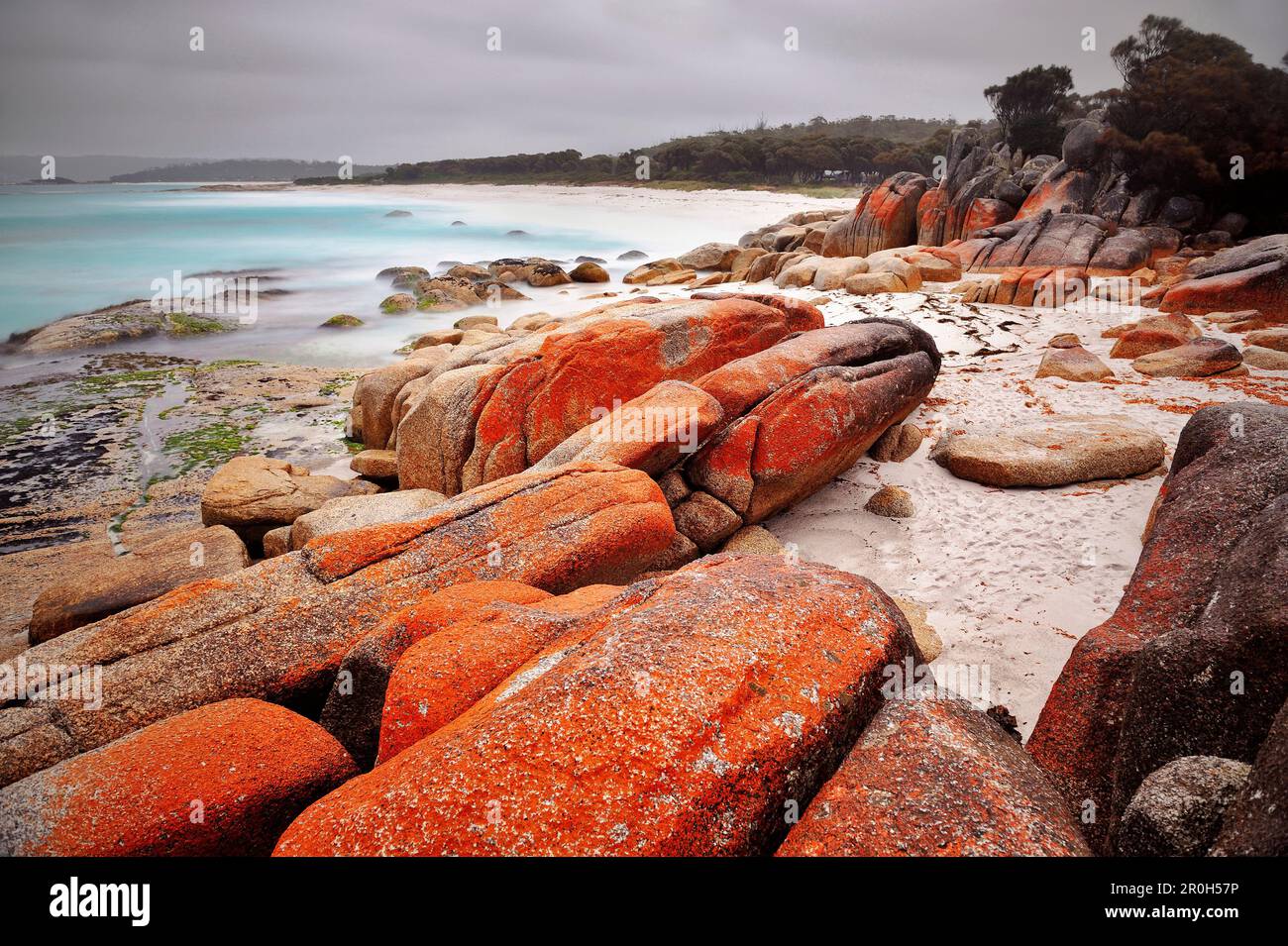 Red rocks with fungal eczema at beach, sea, Bay of Fires around St ...