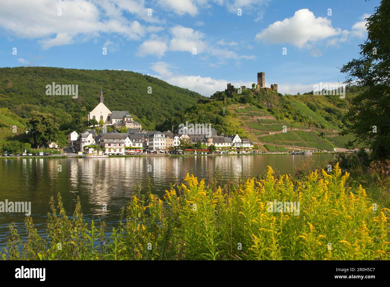 Ruins metternich castle ruins hi-res stock photography and images - Alamy