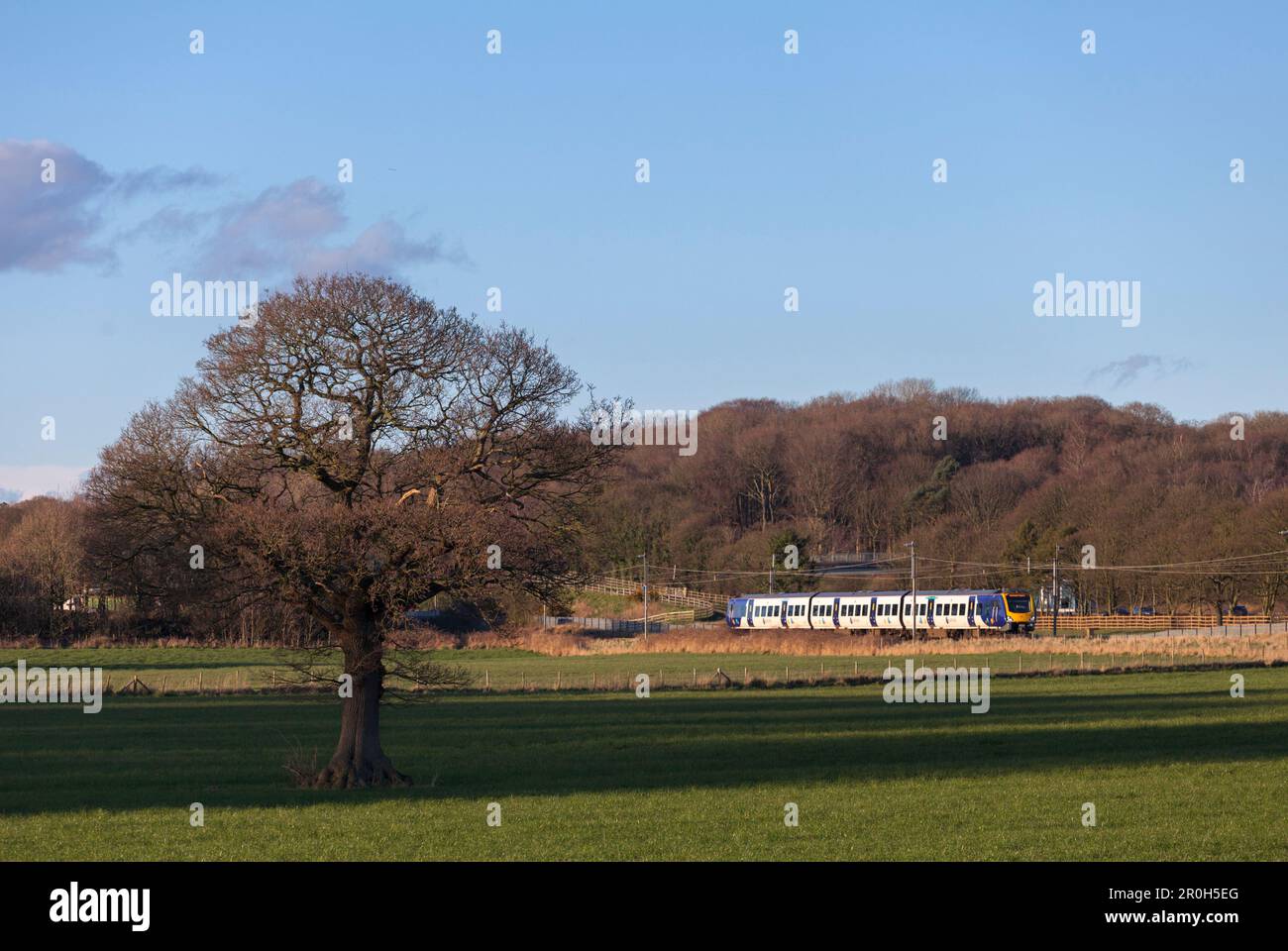 Northern Rail CAF class 195 diesel multiple unit train on the west ...