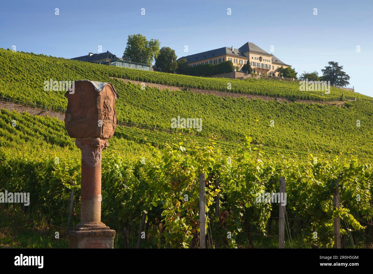 Schloss johannisberg castle hi-res stock photography and images - Alamy