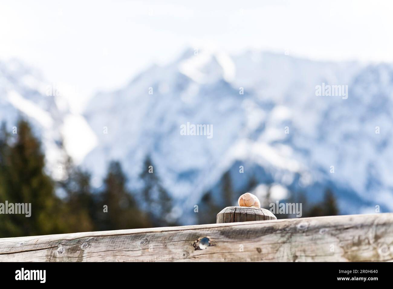 Shell on a wooden stake, terrace, Hut Vorderkaiserfelden, Wilder Kaiser ...