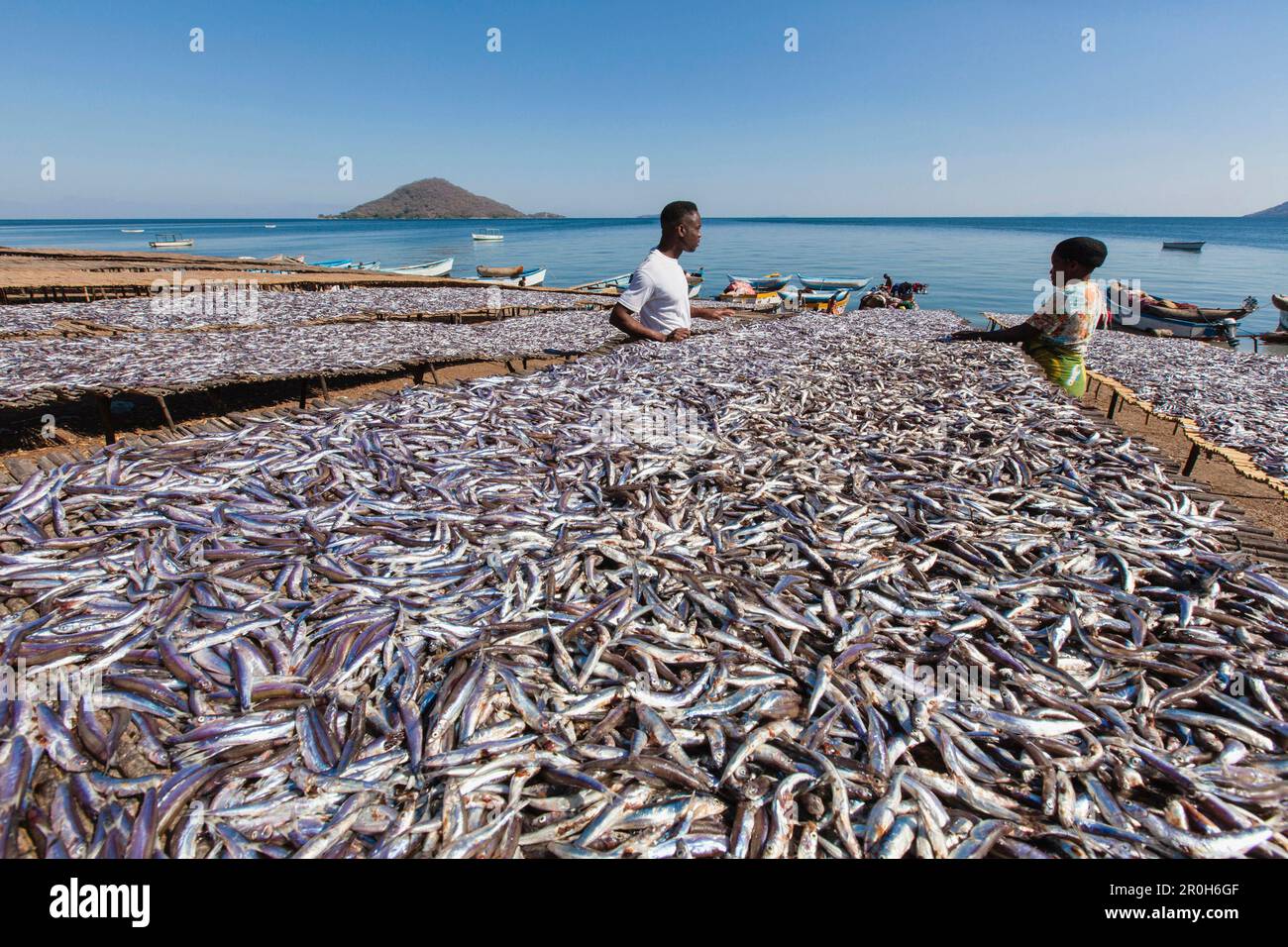 A woman and a man drying fish, Matemba or Usiba, Chembe village, Lake ...