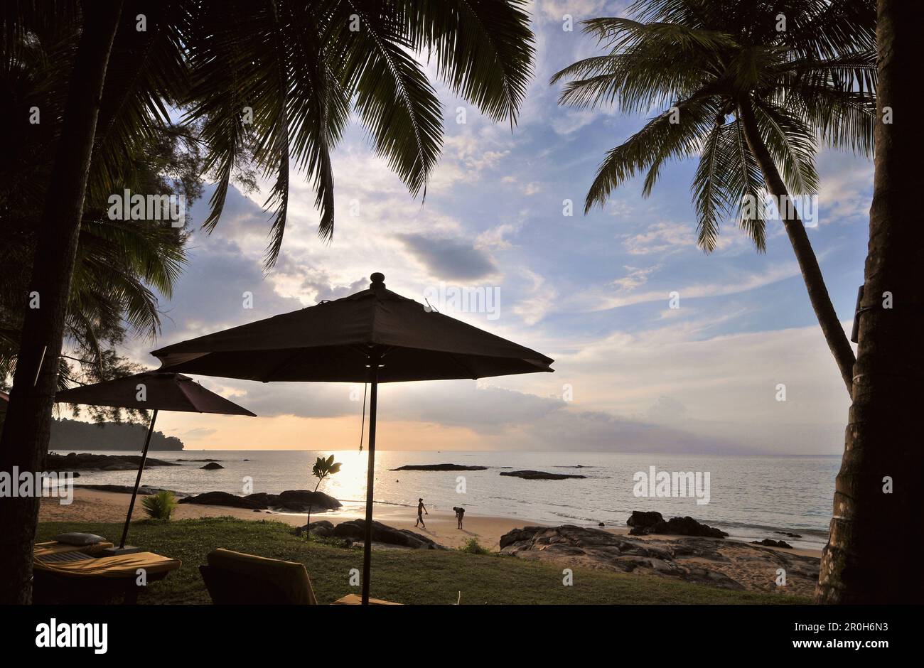 Dark leaved branches hi-res stock photography and images - Alamy