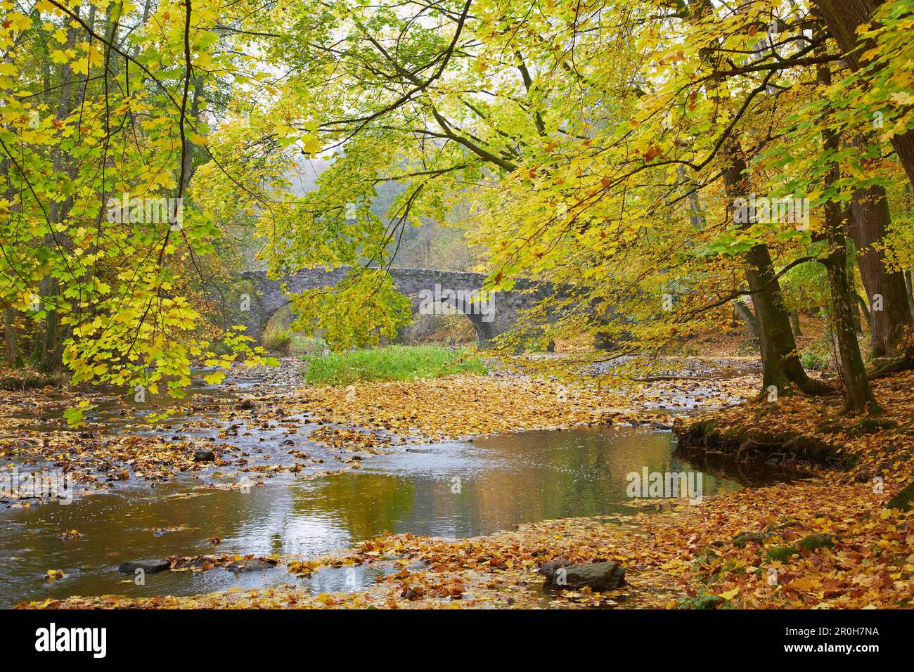 Grosse nister hi-res stock photography and images - Alamy