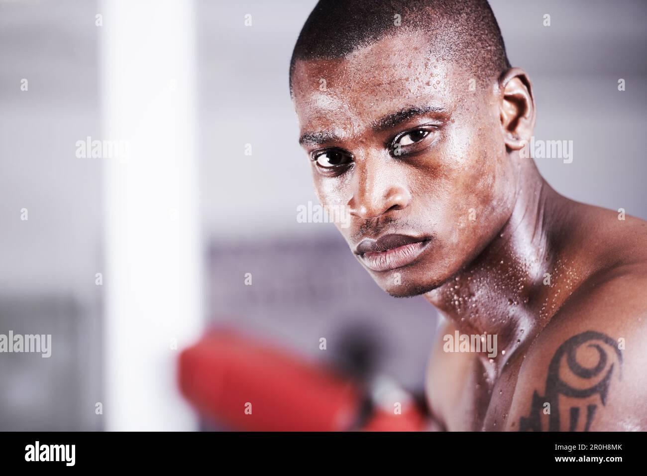 Hard work reaps rewards. A young boxer with determination and focus in ...