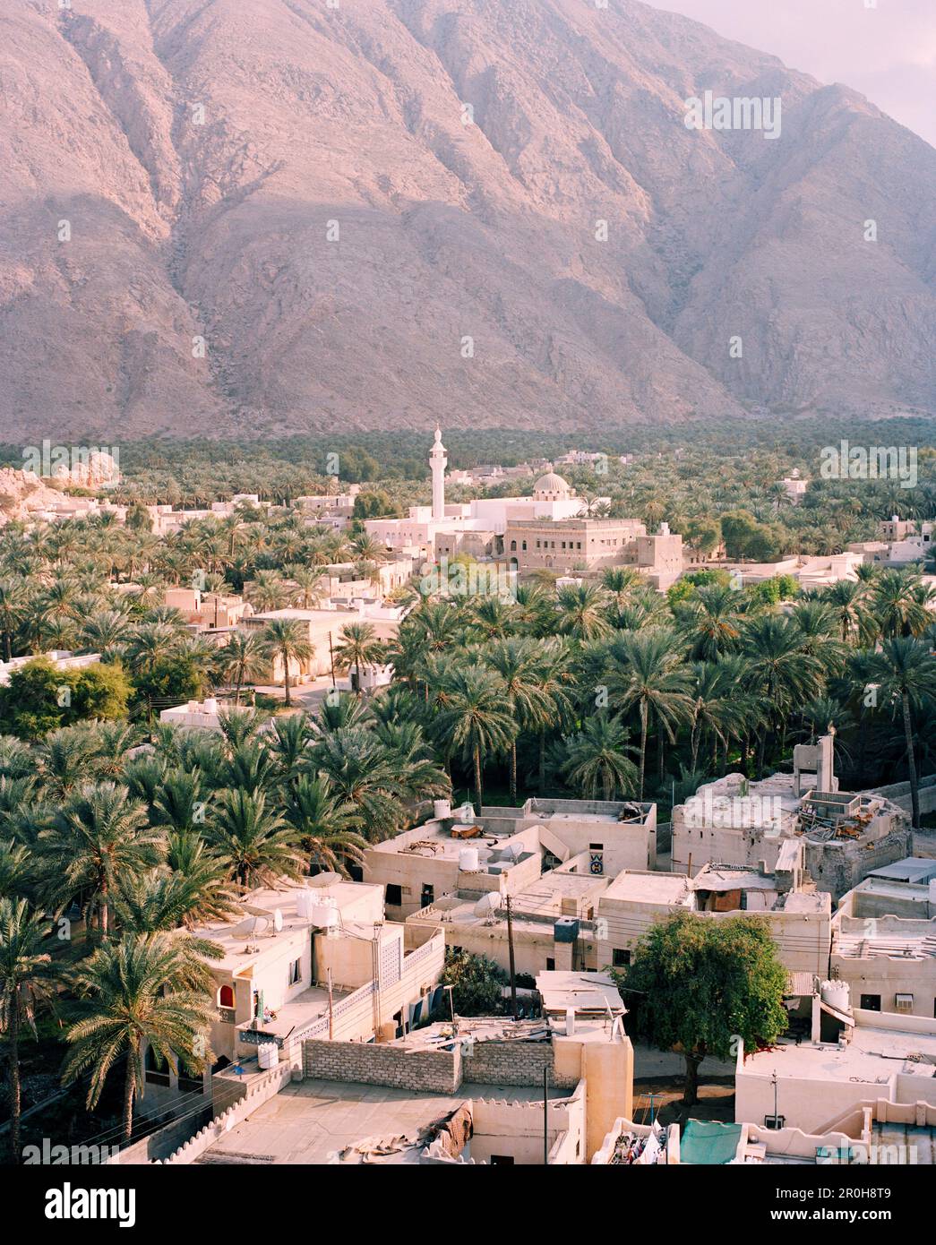 OMAN, cityscape amid trees with mountain in background, elevated view ...