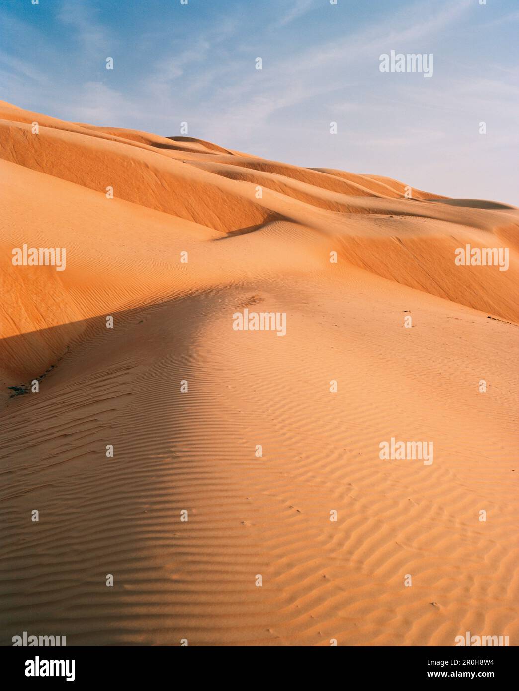 OMAN, sand dune in Wahiba sands Stock Photo - Alamy