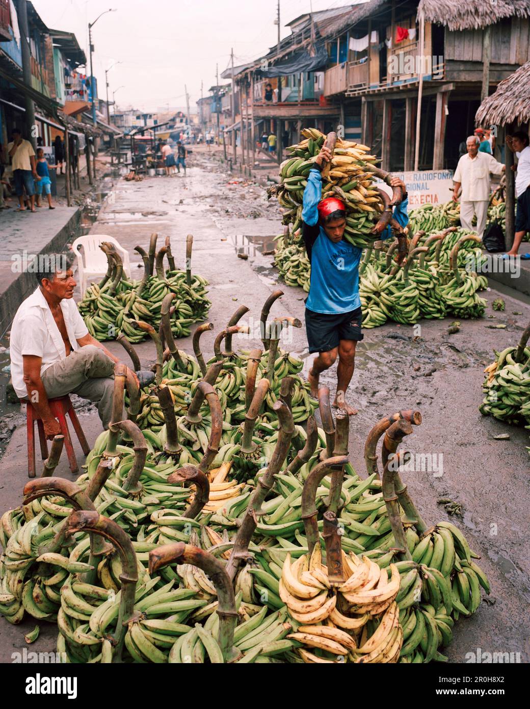 PERU, Belen, South America, Latin America, abundance of bananas at ...