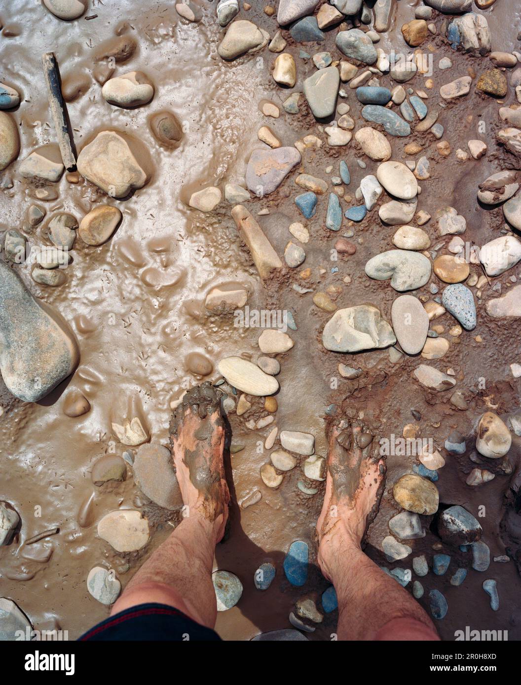 PERU, Amazon Rainforest, South America, Latin America, low section of a ...