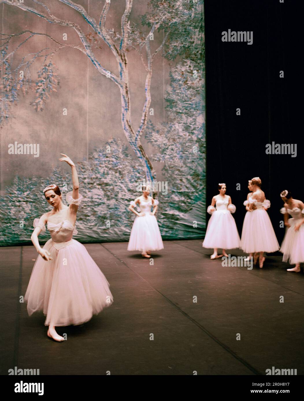 RUSSIA, Moscow, group of Bolshoi ballerinas warming up before a performance at the Bolshoi ...