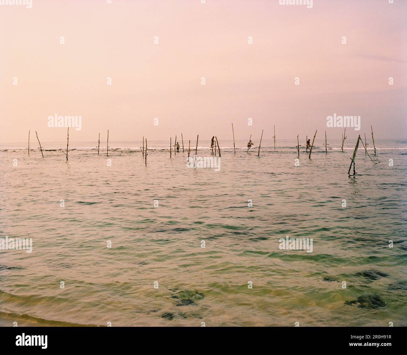 SRI LANKA, Asia, view of stick fishing in Indian Ocean Stock Photo - Alamy