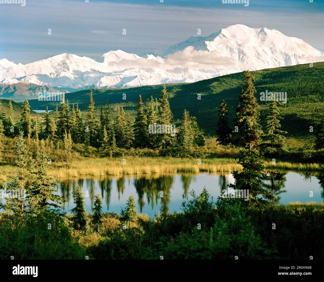 USA, Alaska, Nugget Lake at Camp Denali, snow capped Mount Denali in ...