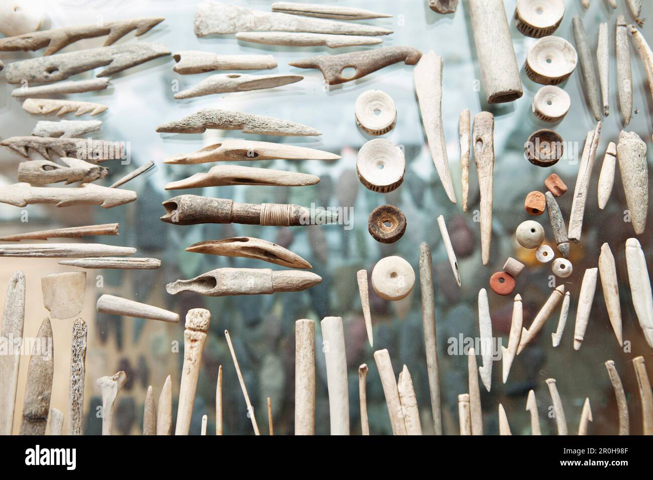 Bone function hi-res stock photography and images - Alamy