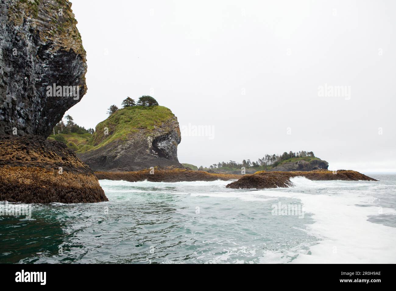 ALASKA, Sitka, Saint Lazaria island, Sitka Sound Stock Photo - Alamy