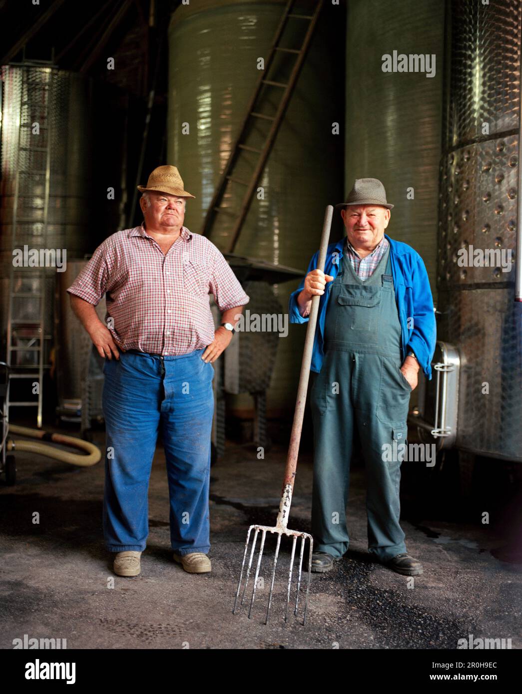 AUSTRIA, Joie, winemakers Willi Wetschka and Andre stand in front of ...