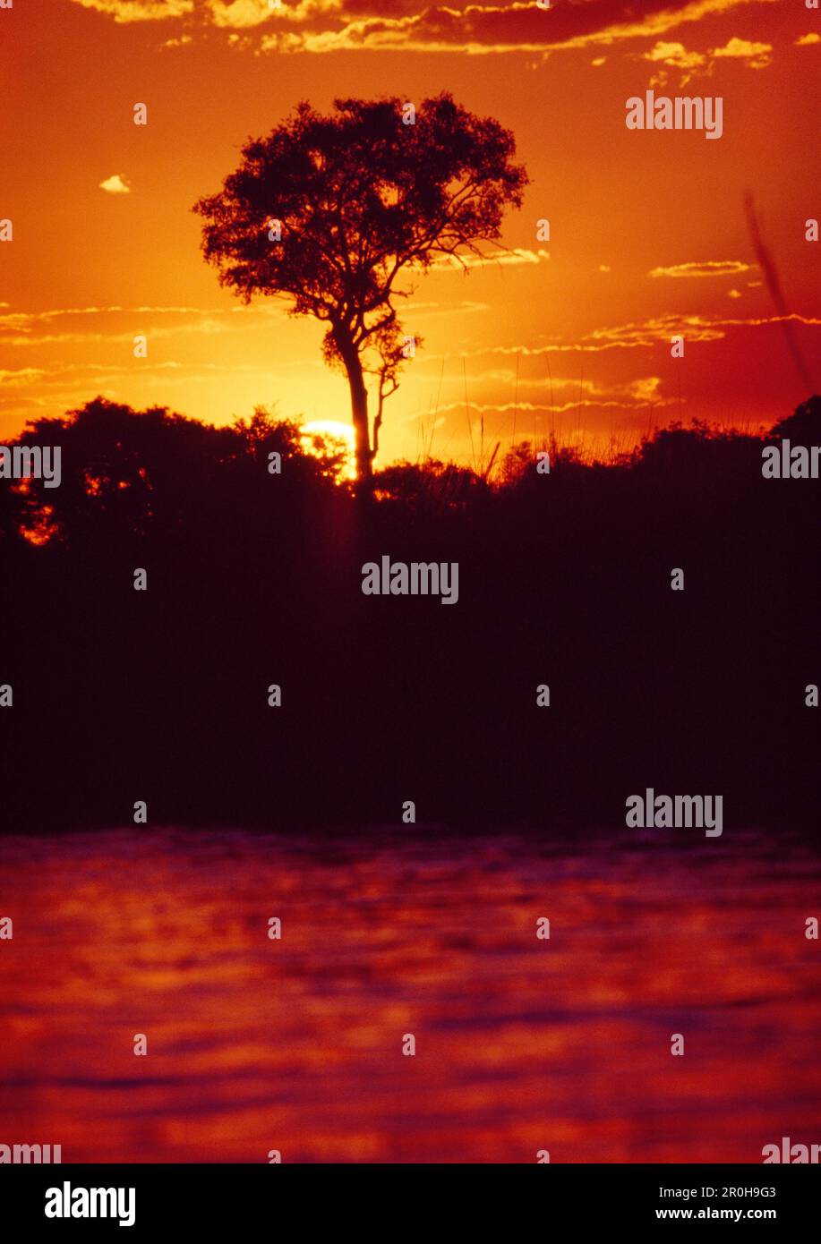 BOTSWANA, Africa, Okavango Delta Sunset Stock Photo - Alamy