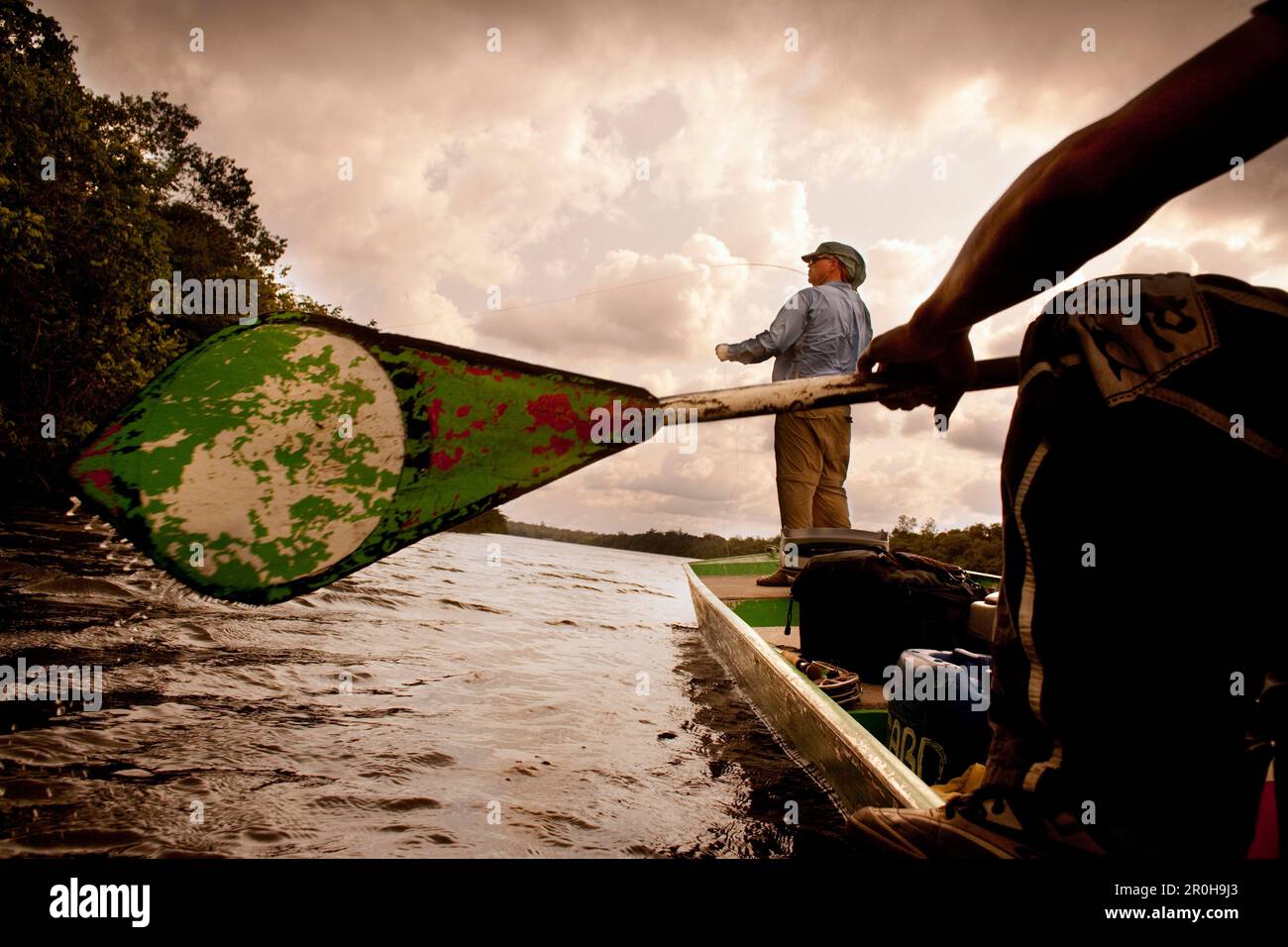 BRAZIL, Agua Boa, fly fisherman casting on a tributary of the Amazon ...