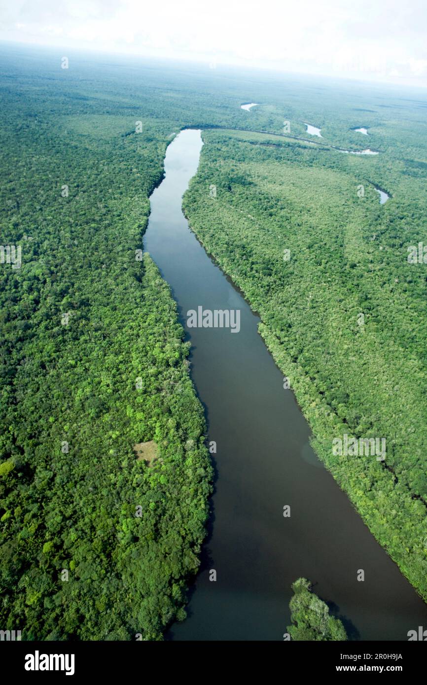 BRAZIL, Amazon Jungle landscape shot from an airplane Stock Photo - Alamy