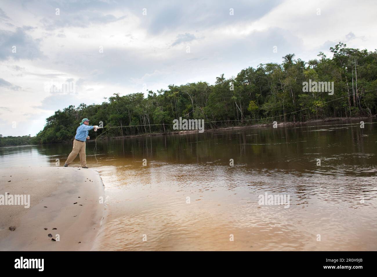 BRAZIL, Agua Boa, fly fisherman casting on a tributary of the Amazon River, Agua Boa River and ...