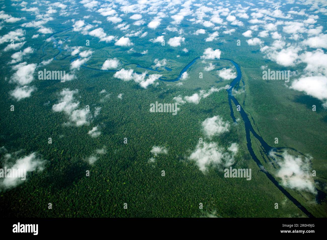 BRAZIL, Amazon Jungle landscape shot from an airplane Stock Photo - Alamy
