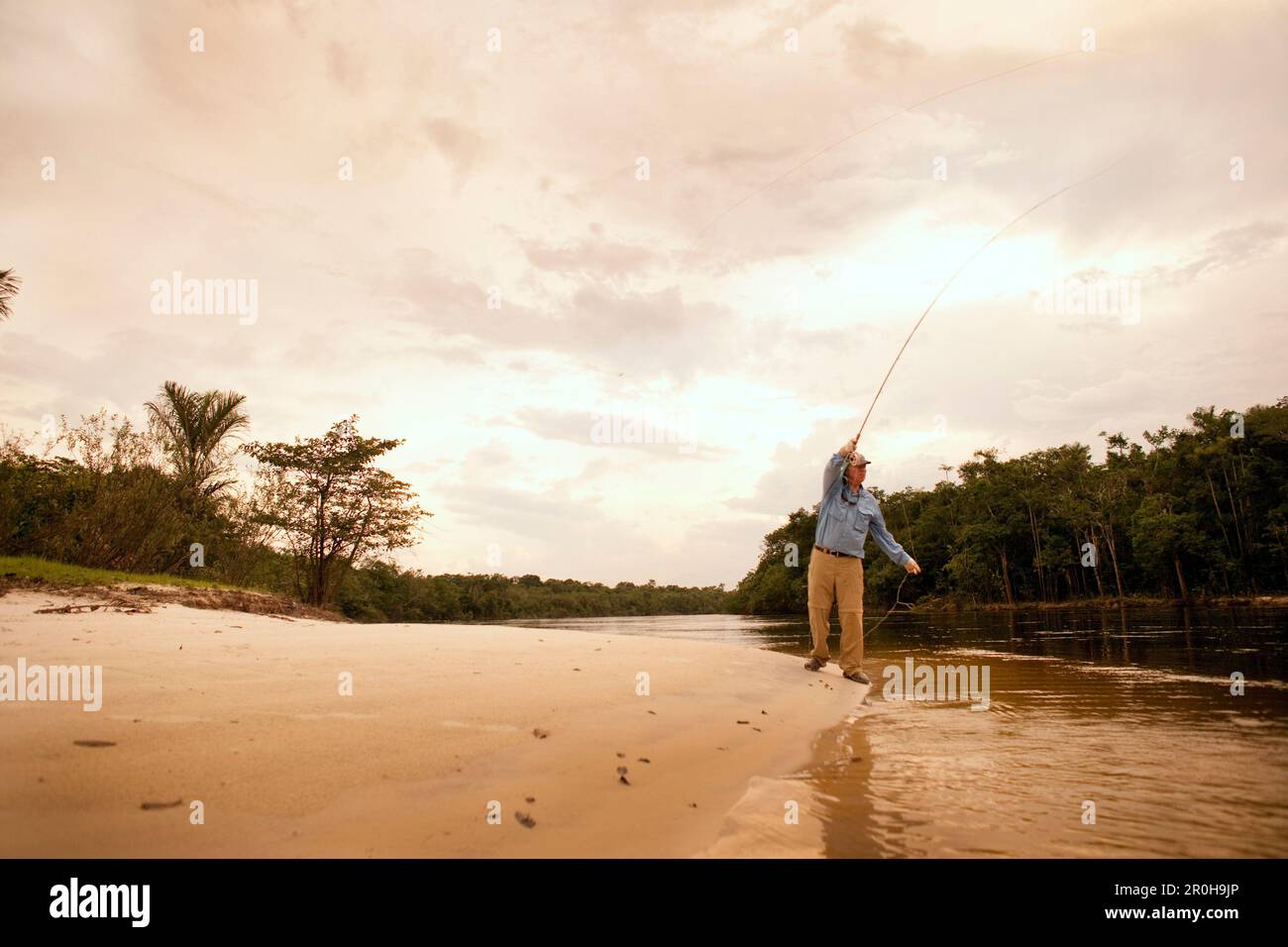 BRAZIL, Agua Boa, fly fisherman casting on a tributary of the Amazon ...