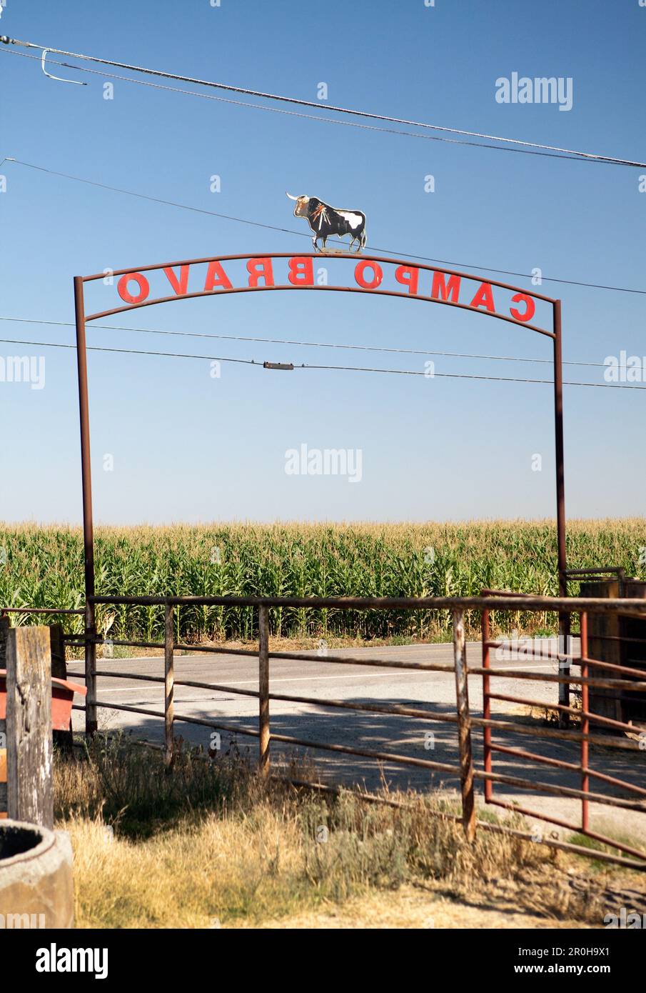 USA, California, Campo Bravo bullfighting arena, Escalon Stock Photo ...